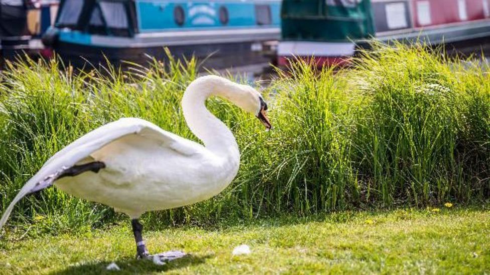 Your pictures across the West Midlands - BBC News