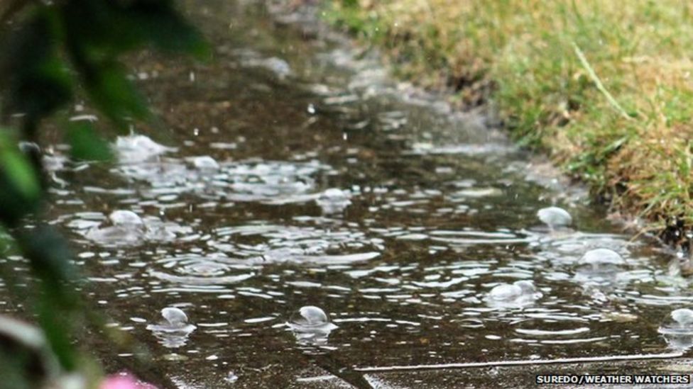 Petrichor: the smell of rain - BBC Weather