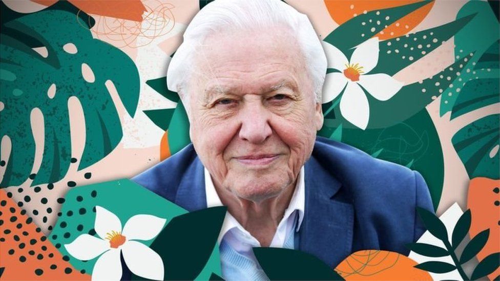 BBC Bitesize: Sir David Attenborough gives geography lessons - BBC ...