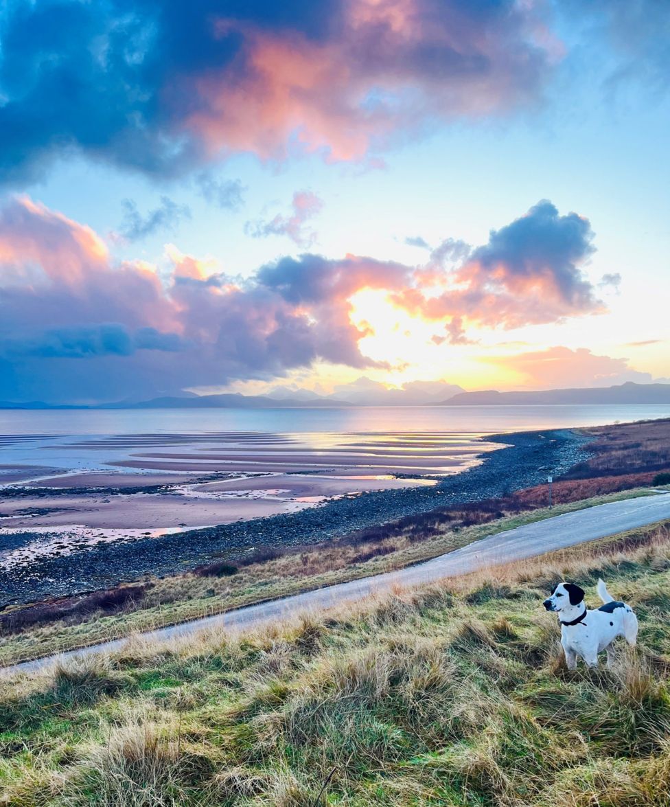 Your pictures of Scotland: Photographs from around the country - BBC News