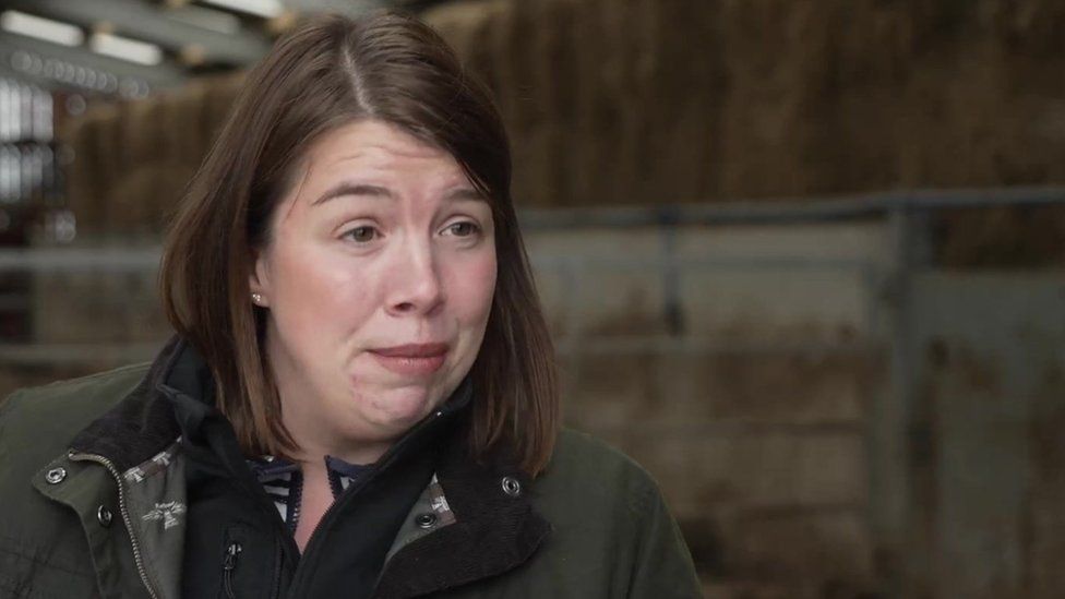 Diffyg cyllid ffermwyr yn bygwth targedau hinsawdd - undeb - BBC Cymru Fyw
