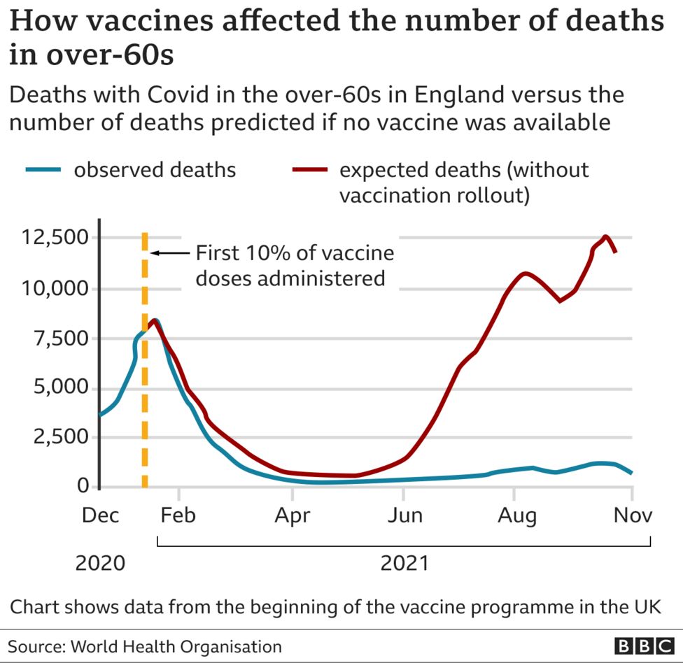 Covid: How vaccines changed the course of the pandemic - BBC News
