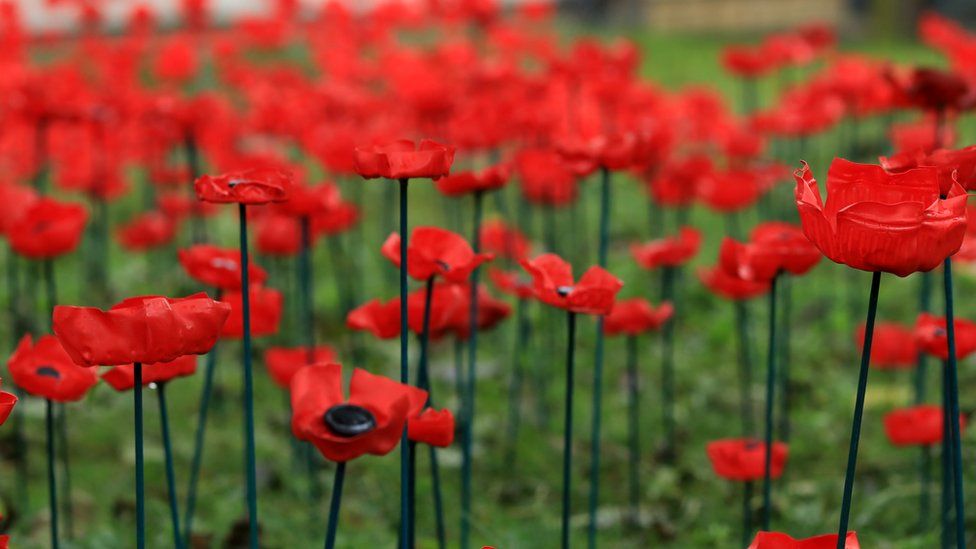 Armistice Day: Marlow pupils create poppy art piece from bottles - BBC News