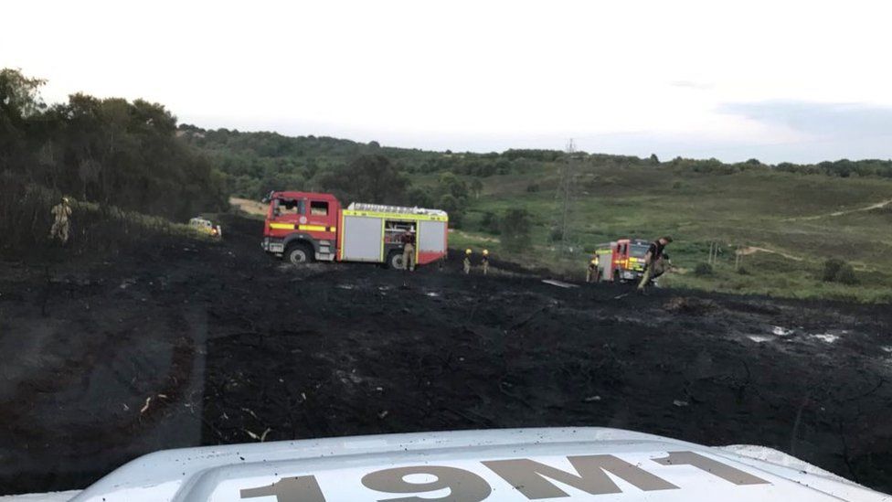 Fire sweeps across Talbot Heath nature reserve - BBC News