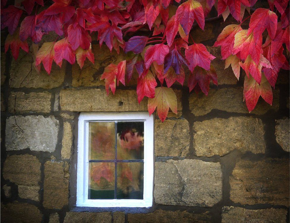 Lluniau'r hydref / Autumnal pictures 2017 - BBC Cymru Fyw