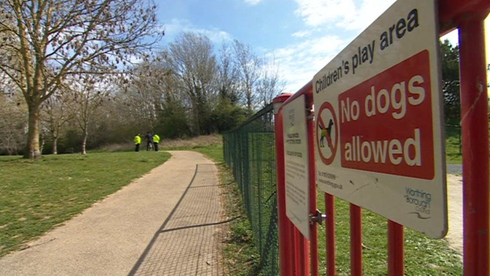 Worthing park attack: Teens sentenced for 'sickening' assault on man ...