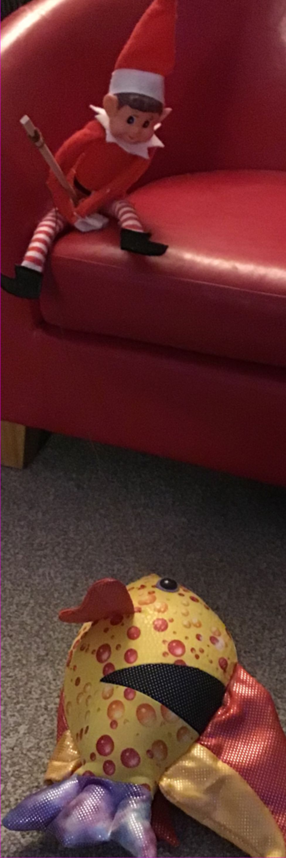 What's been your elf's best trick? - BBC Newsround