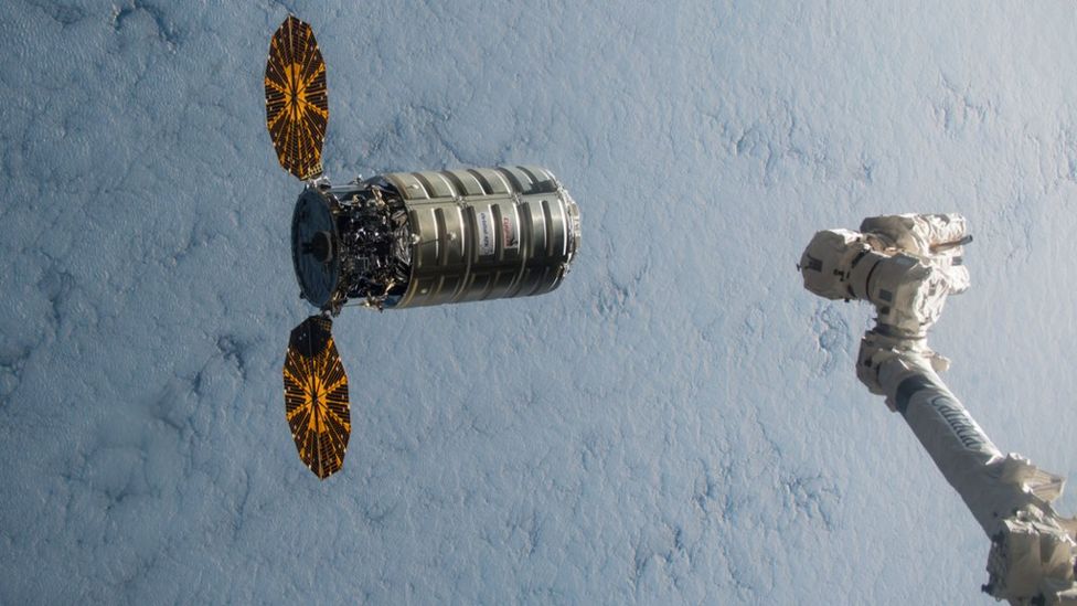 'Gecko Grippers' sent to space station - BBC Newsround