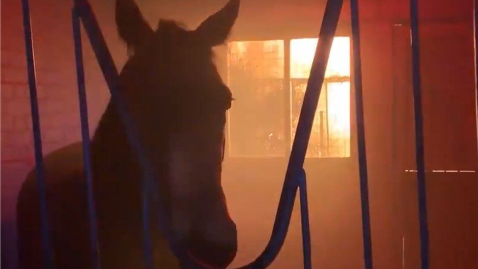 Jamie Osborne: Fire damages Royal Ascot-winning trainer's yard - BBC News