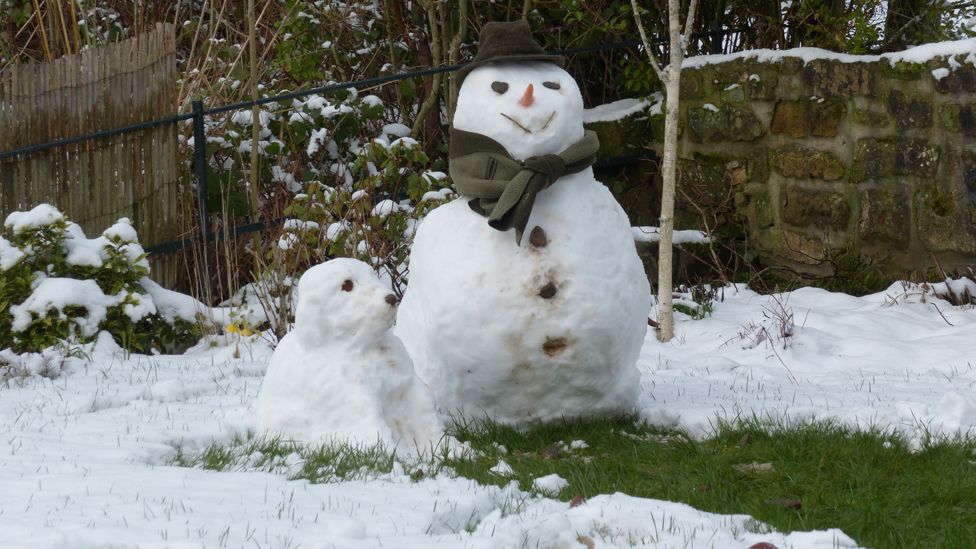 Your pictures as snow blankets Scotland - BBC News