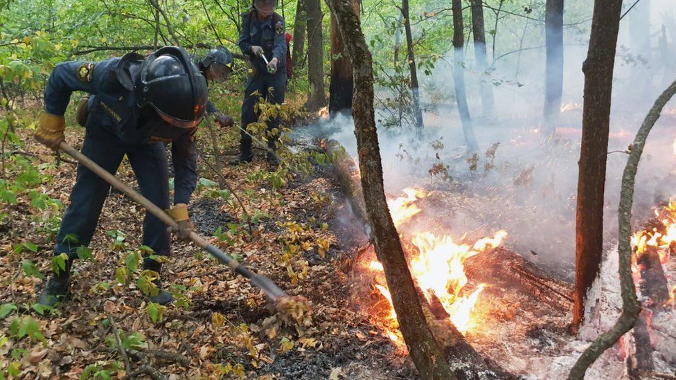 Russia forest fires: New report shows damage worst since records began ...