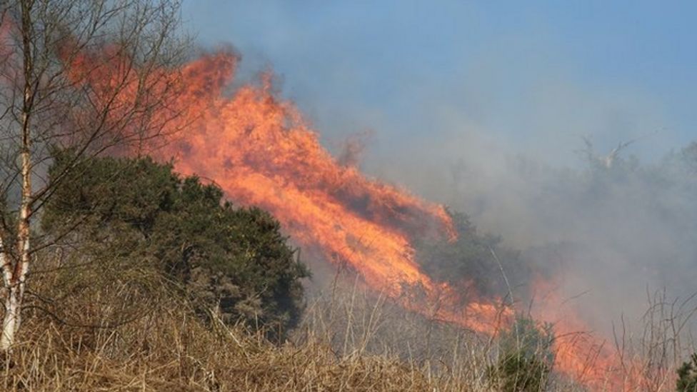 Blaze breaks out in Highlands during wildfire warning - BBC News
