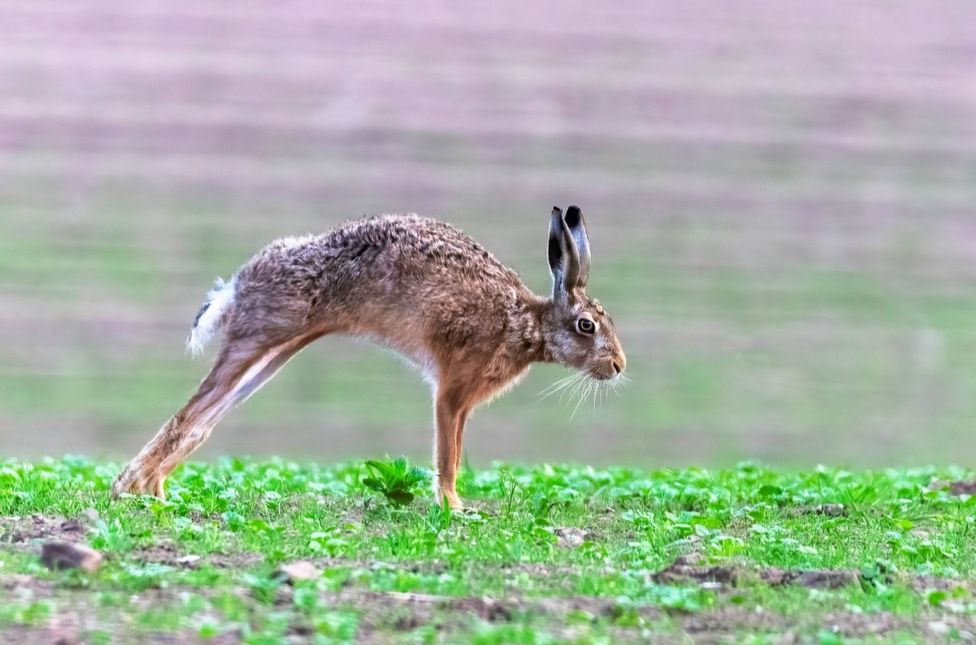 Your pictures of Scotland: 17-24 June - BBC News