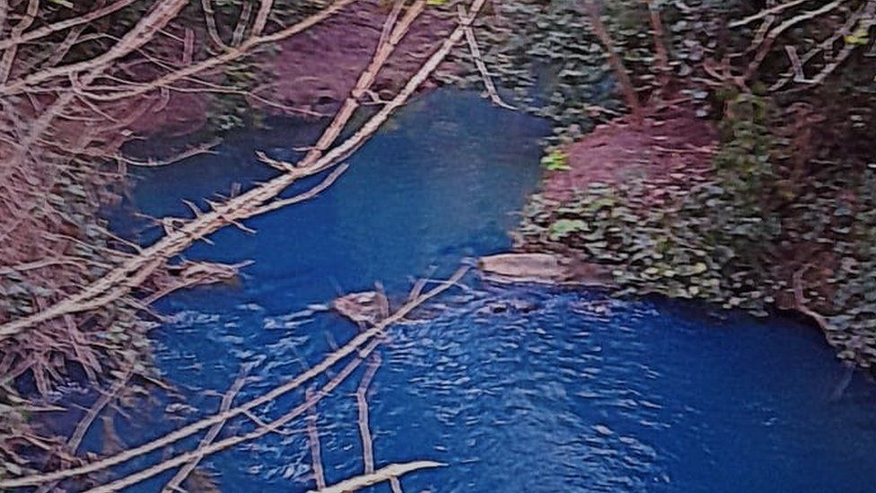 River Sence was turned blue by dye, says Environment Agency - BBC News