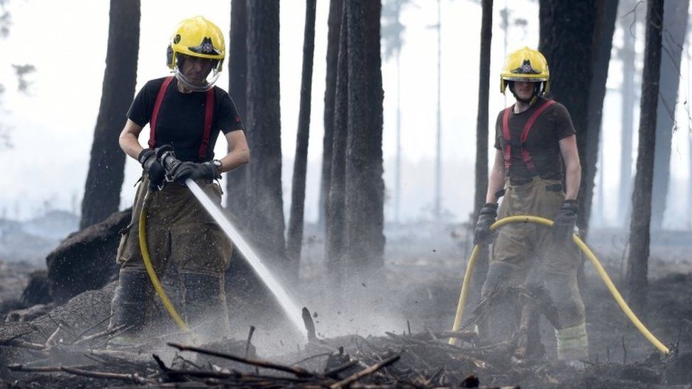 Wareham Forest fire crews 'stretched' at blaze site - BBC News