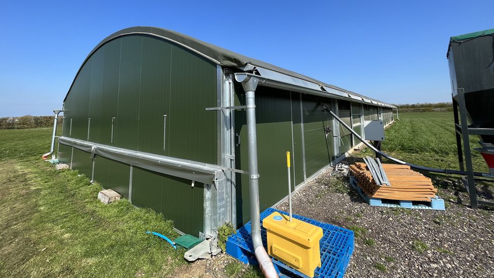 Bird flu: Farmer keeping poultry indoors despite lifted order - BBC News