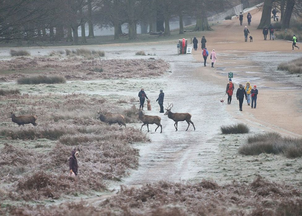 In pictures: Winter scenes from around UK - BBC News