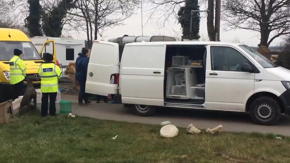 More than 100 dogs removed in Killingholme rescue centre raid - BBC News