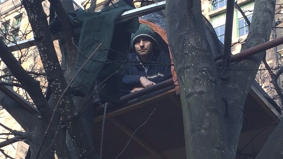 Developer seeks eviction notice for tree protester in Edinburgh's ...