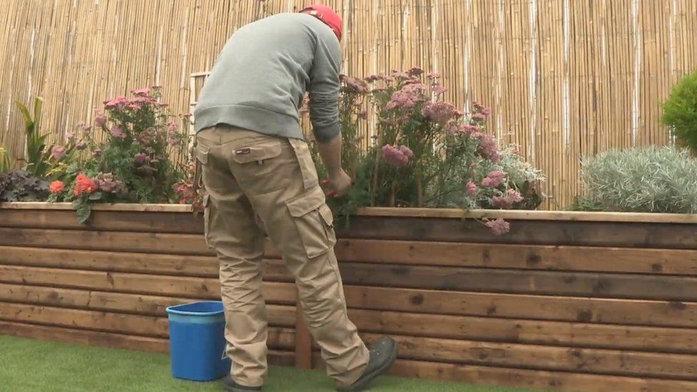 NI's first prison sensory garden inspires inmates' new career - BBC News