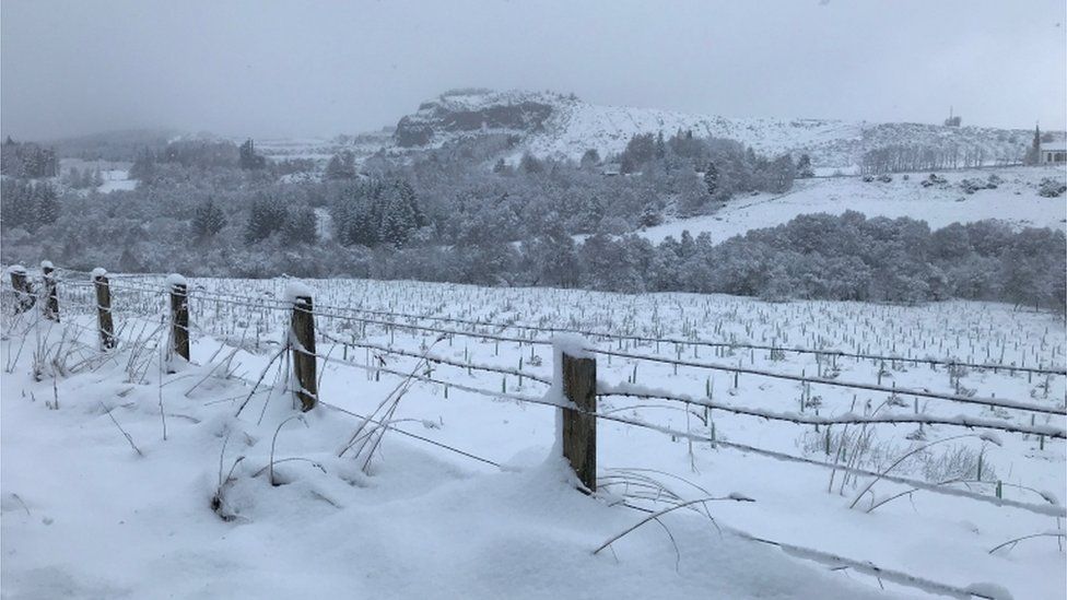 Your pictures of snow around Scotland - BBC News