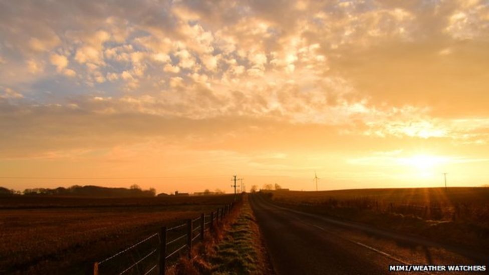 Weather Watcher profile: Mimi - BBC Weather