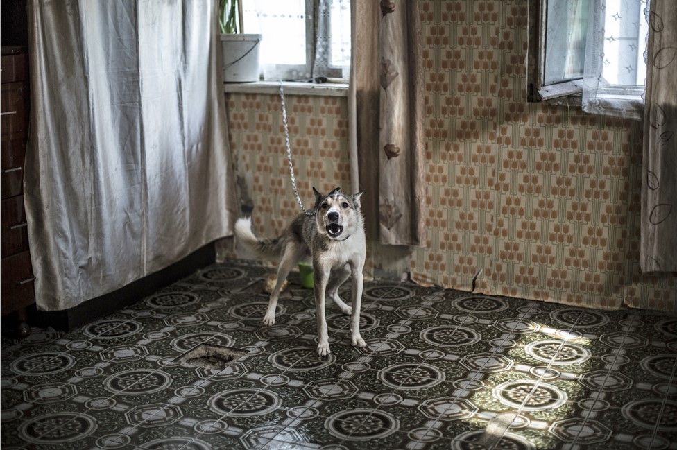 In pictures: Georgia's forgotten people - BBC News