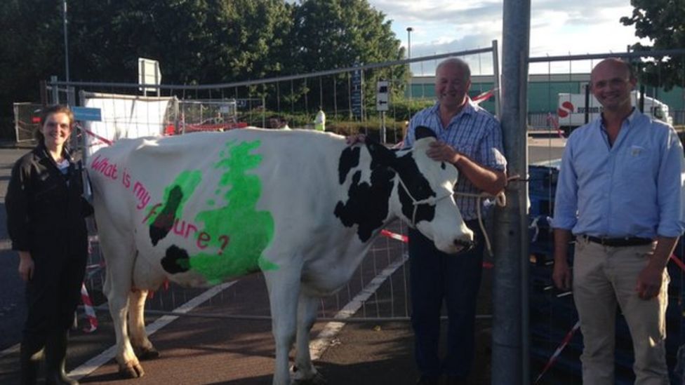 Farmers and cows in milk protest at Cheshire supermarket depot - BBC News