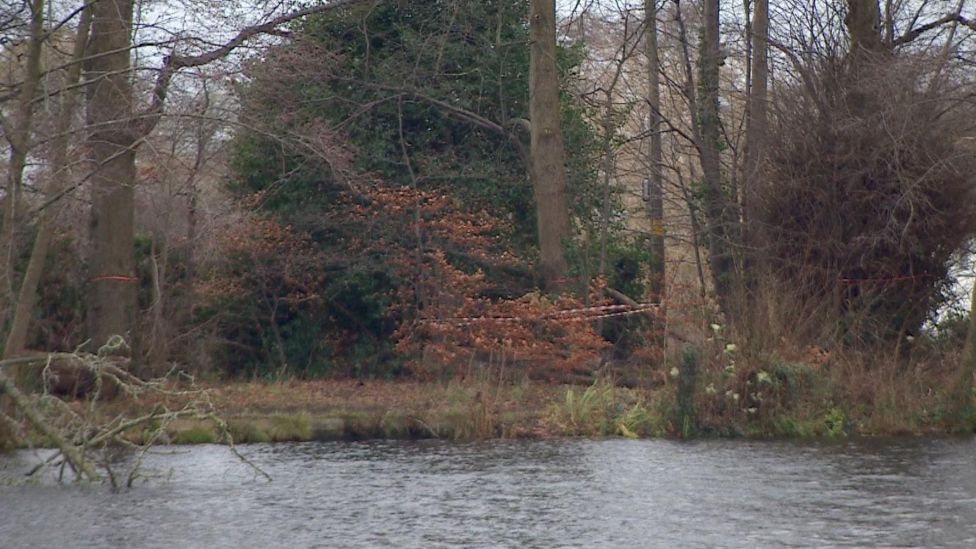 Poynton Pool: Hundreds object to tree removal plans - BBC News