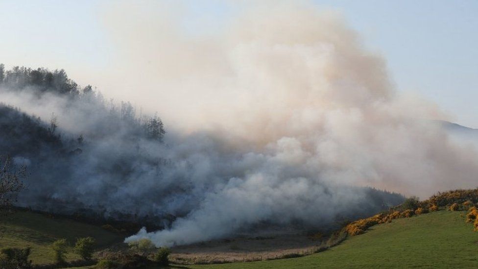 Firefighters tackling 'significant' gorse fire in Newry - BBC News