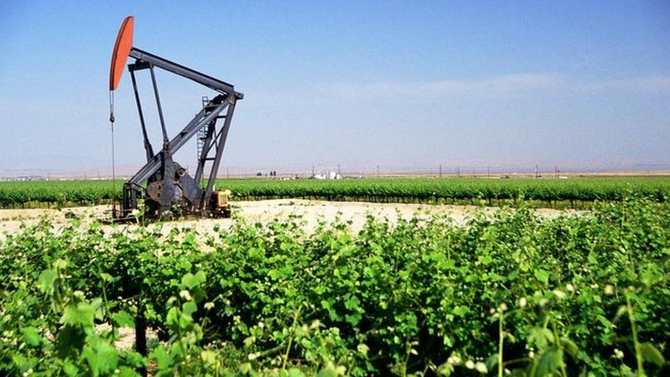Markets in Asia diverge in late trade on Thursday - BBC News