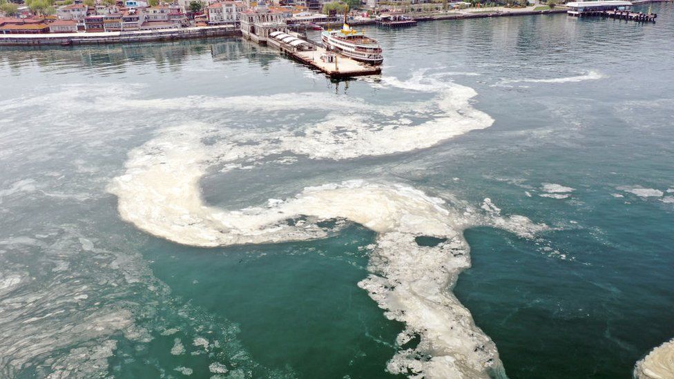 'Sea snot' affecting waters in Turkey - BBC Newsround