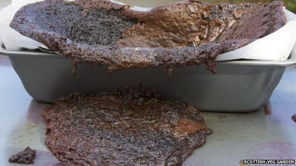 Great British Bake Off: Your cake fails - BBC News