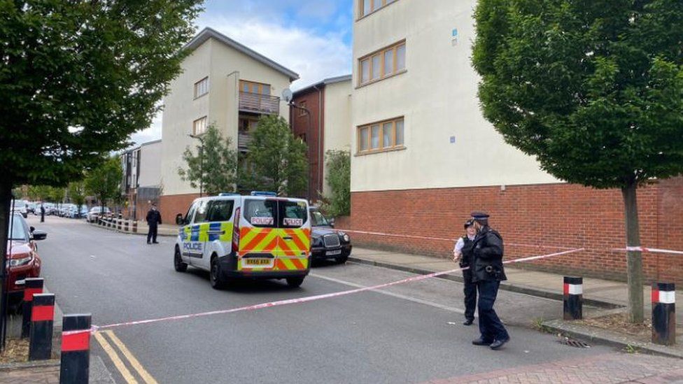 Met Police officers injured as illegal block party turns violent - BBC News