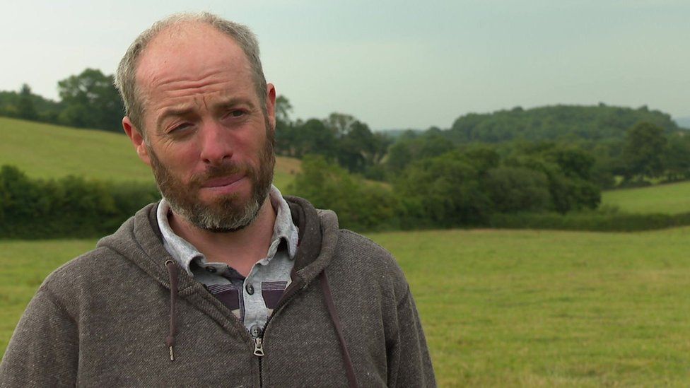 Pryder fod problem sychder yn mynd yn fwy 'dyrys' - BBC Cymru Fyw