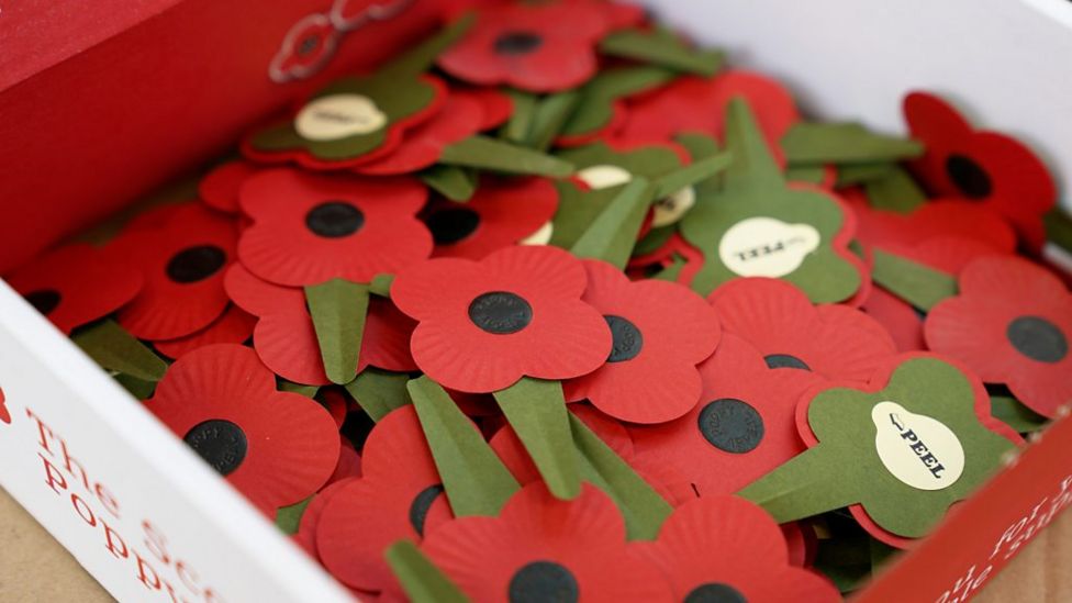 Remembrance Sunday: What's different about the Scottish poppy? - BBC News