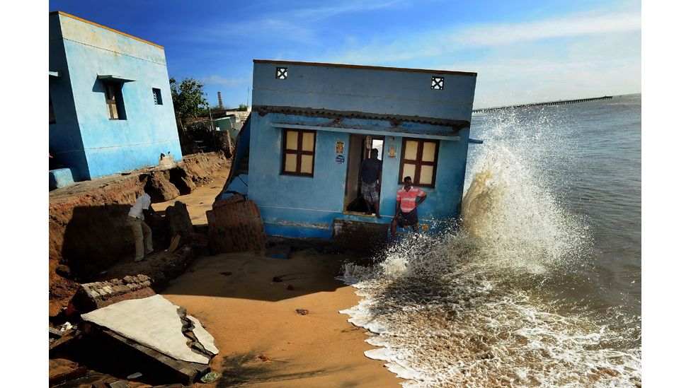 Environmental photography winners announced - BBC News