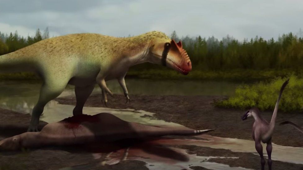 Meet the dinosaur that's a tiny T-Rex - BBC Newsround
