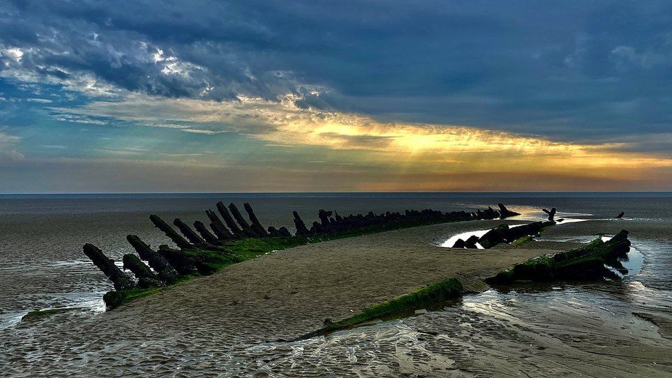 Bachgen, 9, yn dod o hyd i ffosil 200 miliwn oed ar draeth - BBC Cymru Fyw