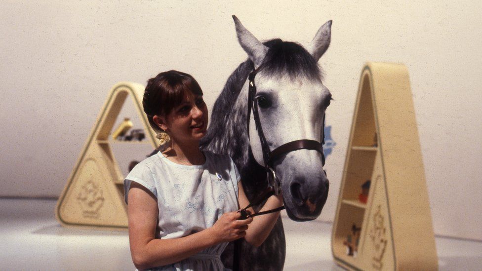 Blue Peter pets: Dogs, horses, and, of course, tortoises - BBC Newsround