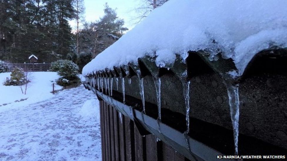 Gallery: January snow - BBC Weather