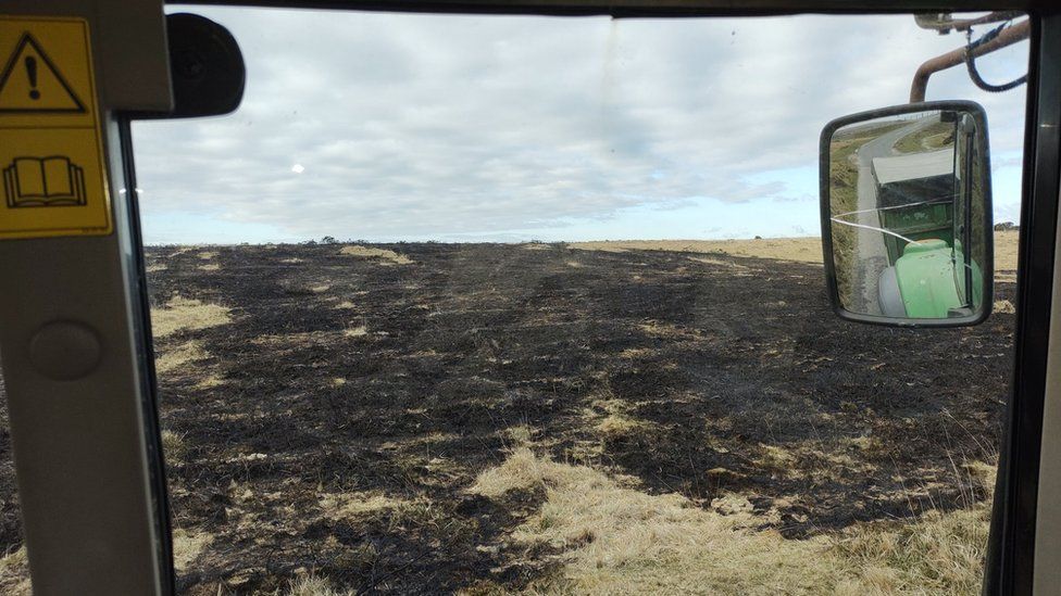 Bodmin Moor gorse fire being treated as arson - BBC News