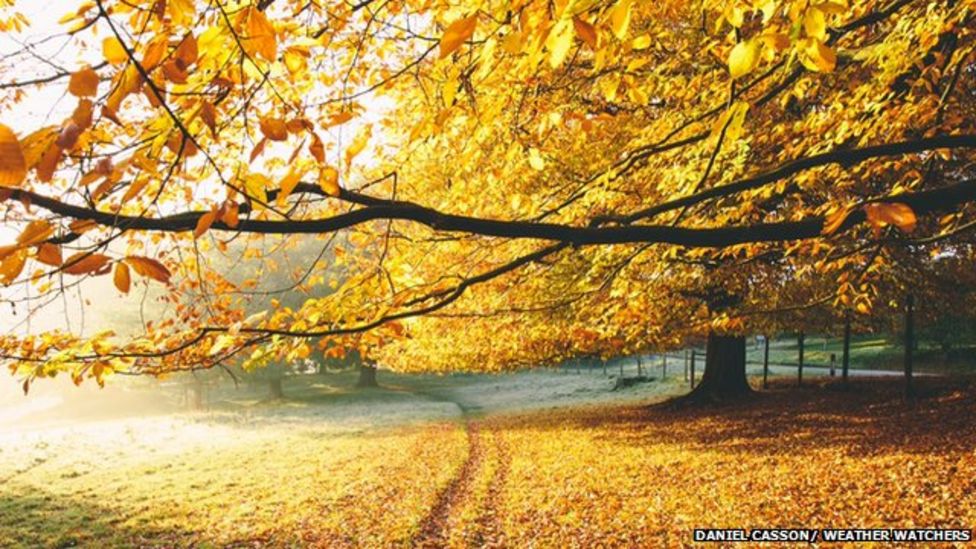 Meteorological autumn - BBC Weather