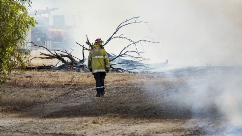 Threat from deadly bushfire eases in Western Australia - BBC News