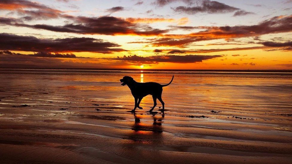 Striking sunsets of the year - BBC Weather