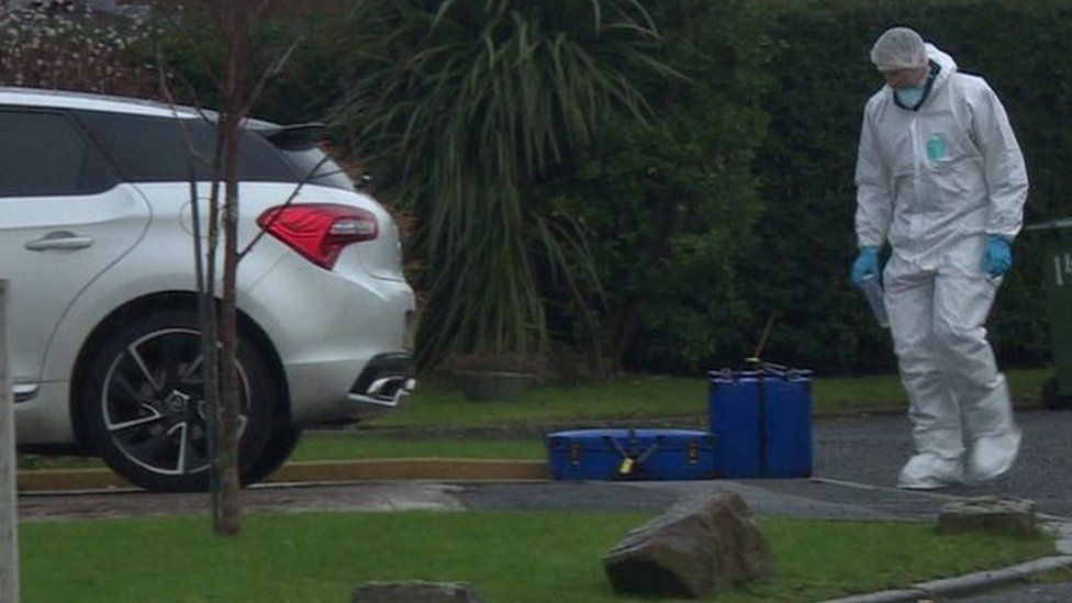 Sandra Brotherton killing: Son admits 'frenzied' stab attack - BBC News