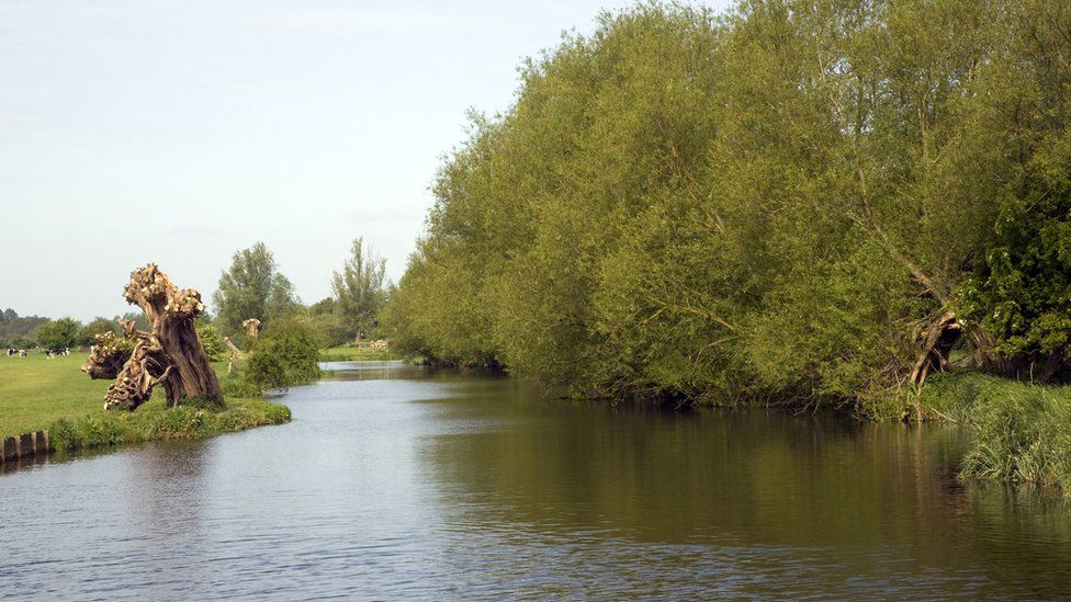 Calls for more powers to control tourism at Dedham Vale - BBC News