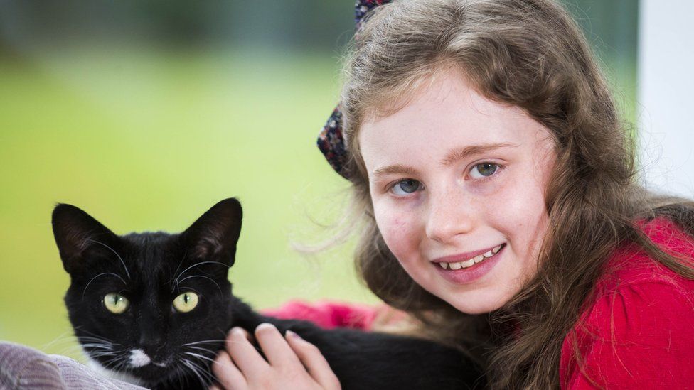 Portadown puss is the purr-fect companion - BBC News