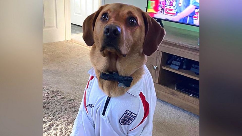 England reach Euro 2020 final: School renames itself after Harry Kane ...