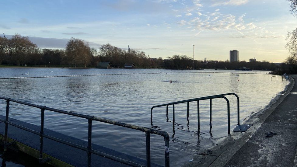 Leaf Arbuthnot: How rent-a-gran scheme sparked a debut novel - BBC News